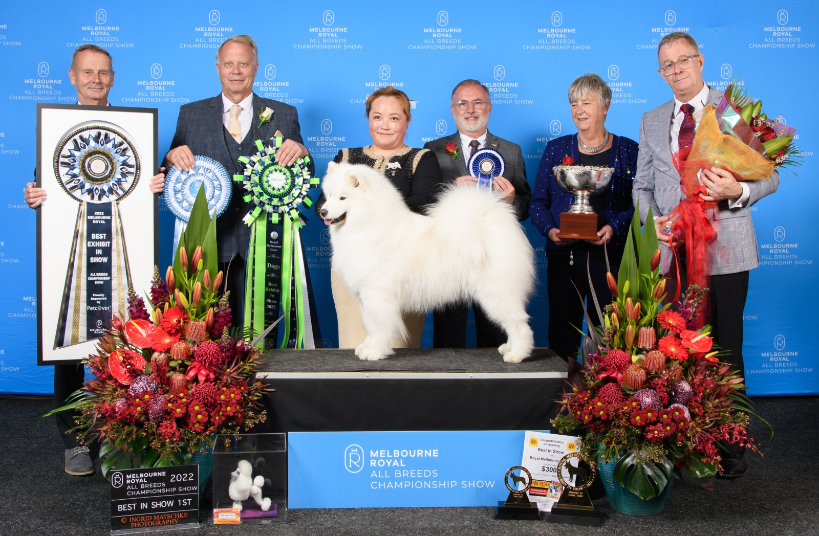 Melbourne Royal Show Sept 2022 GALLERIES DOGS 2022 15 SALE Melbourne Royal Show Sept 2022 GALLERIES DOGS 2022 15 SALE